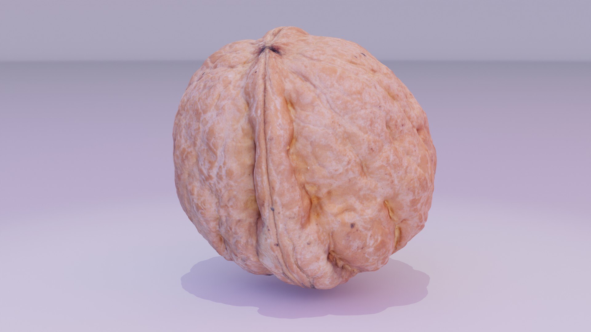Walnut Fruit 04 High-poly 3D Model 3D Model - TurboSquid 1836999