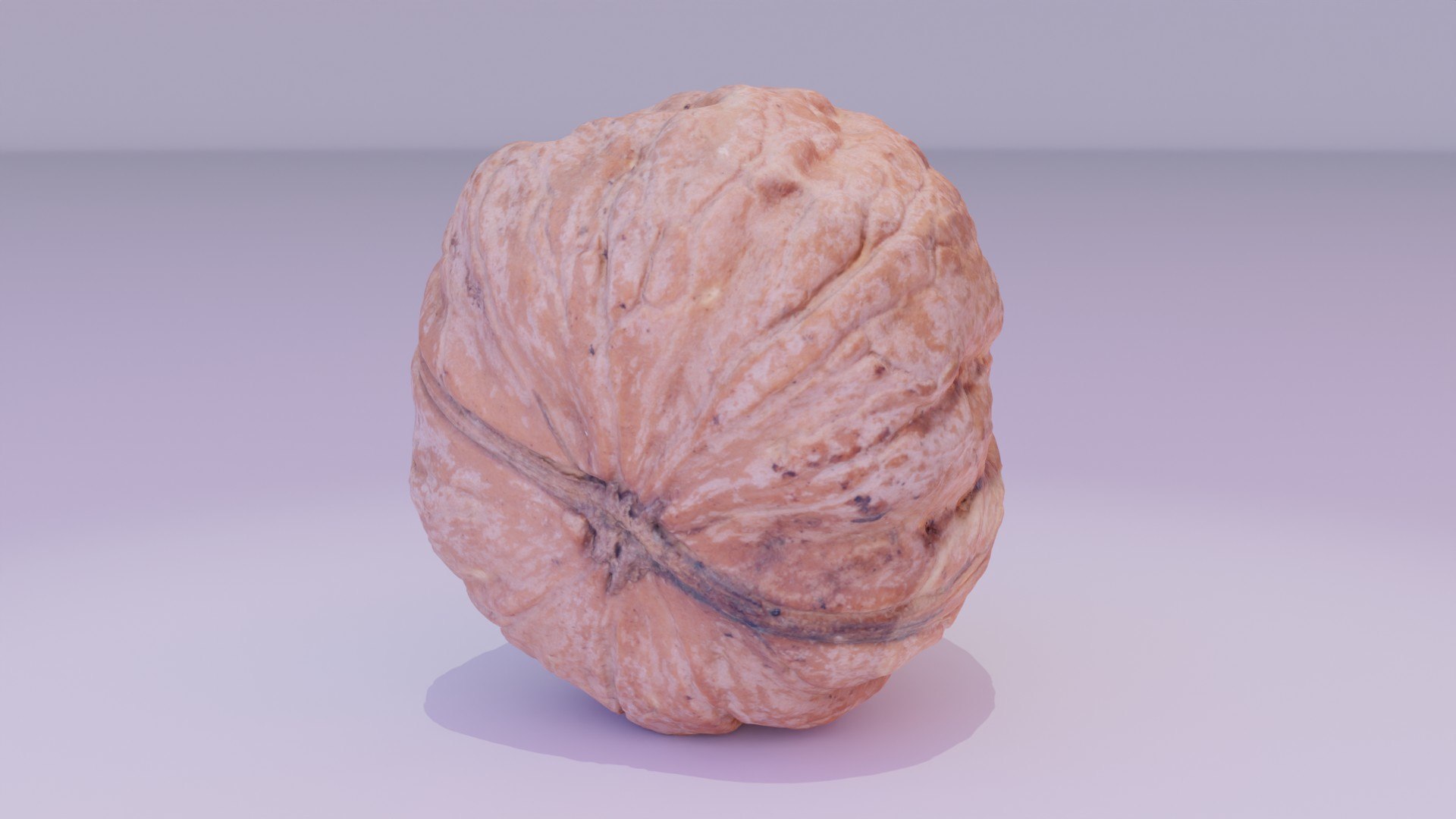 Walnut Fruit 04 High-poly 3D Model 3D Model - TurboSquid 1836999