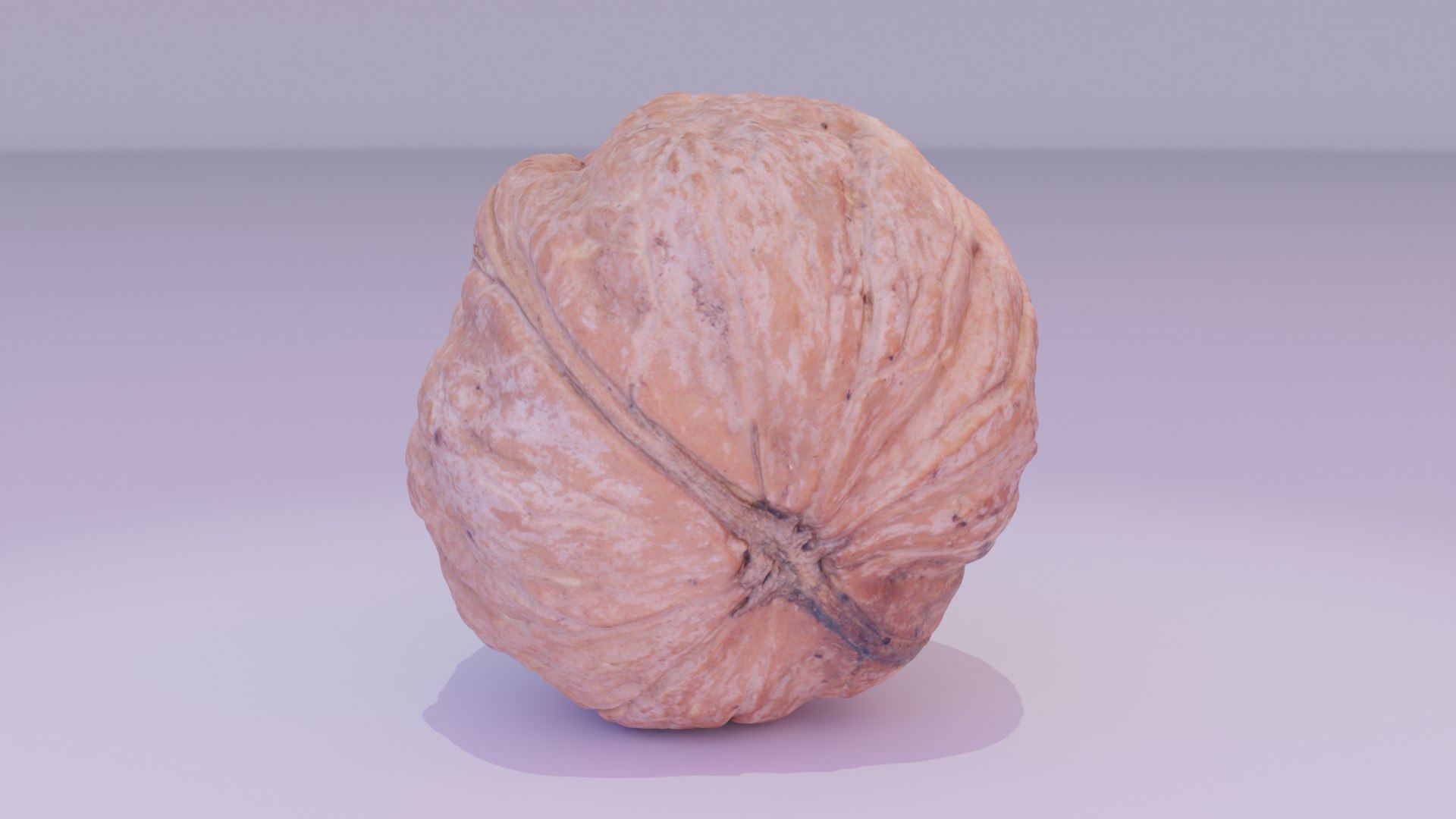 Walnut Fruit 04 High-poly 3D Model 3D Model - TurboSquid 1836999