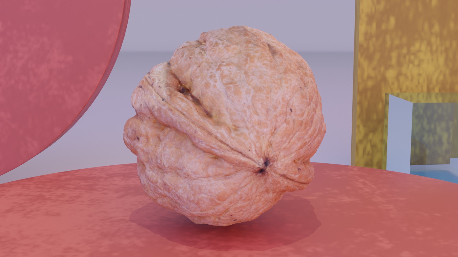 Walnut Fruit 04 High-poly 3D Model 3D Model - TurboSquid 1836999