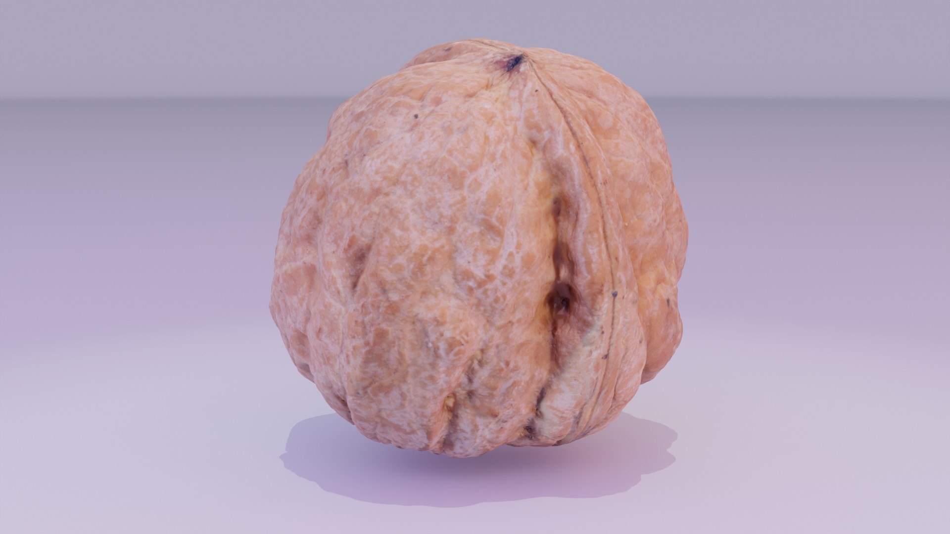 Walnut Fruit 04 High-poly 3D Model 3D Model - TurboSquid 1836999