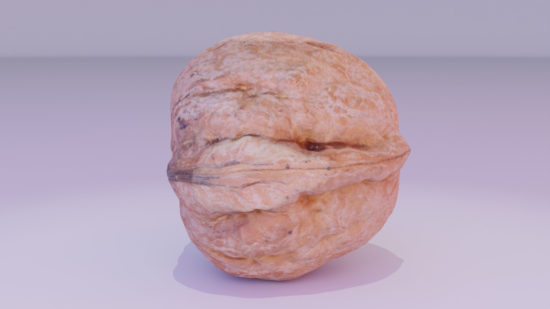 Walnut Fruit 04 High-poly 3D Model 3D Model - TurboSquid 1836999