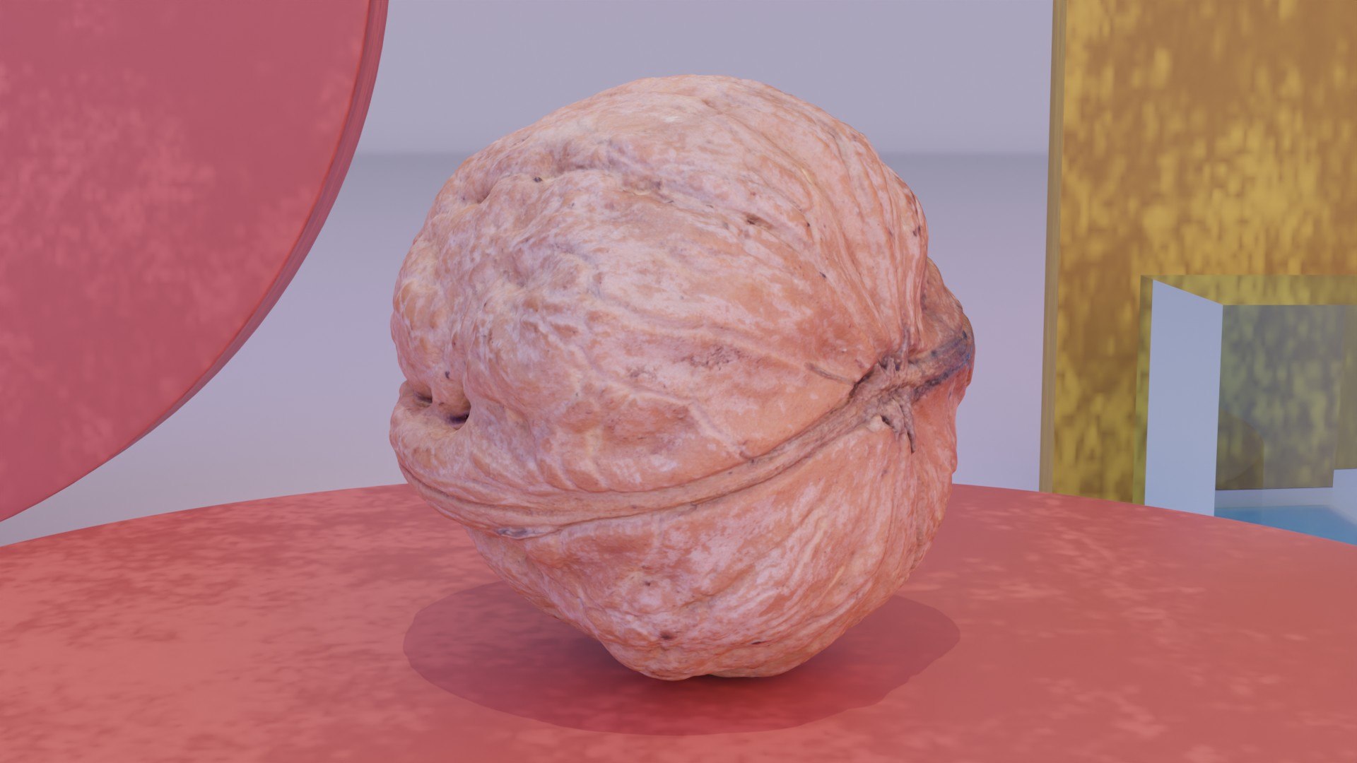Walnut Fruit 04 High-poly 3D Model 3D Model - TurboSquid 1836999