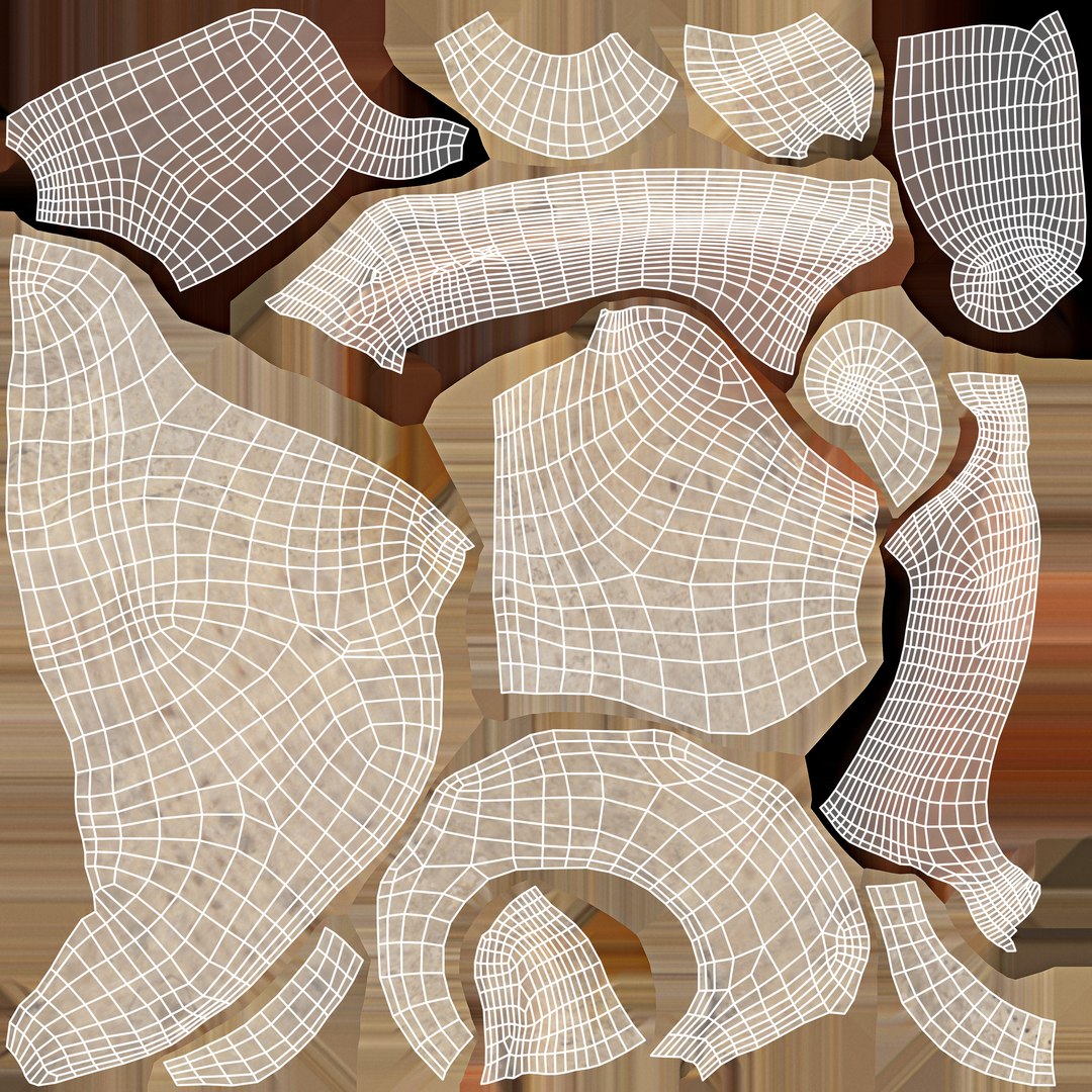 3D seashell rapana model - TurboSquid 1475577