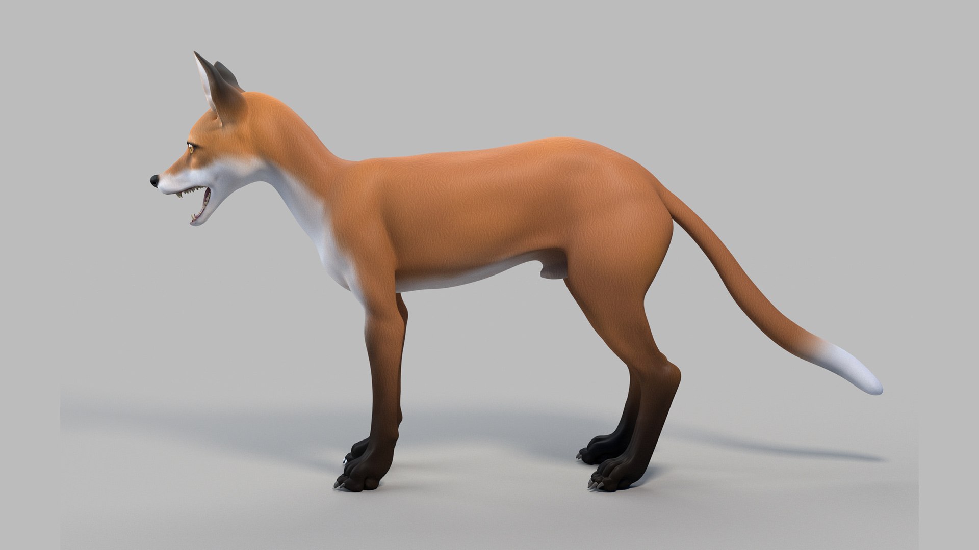 3D Model Fox Rigged - TurboSquid 1616241