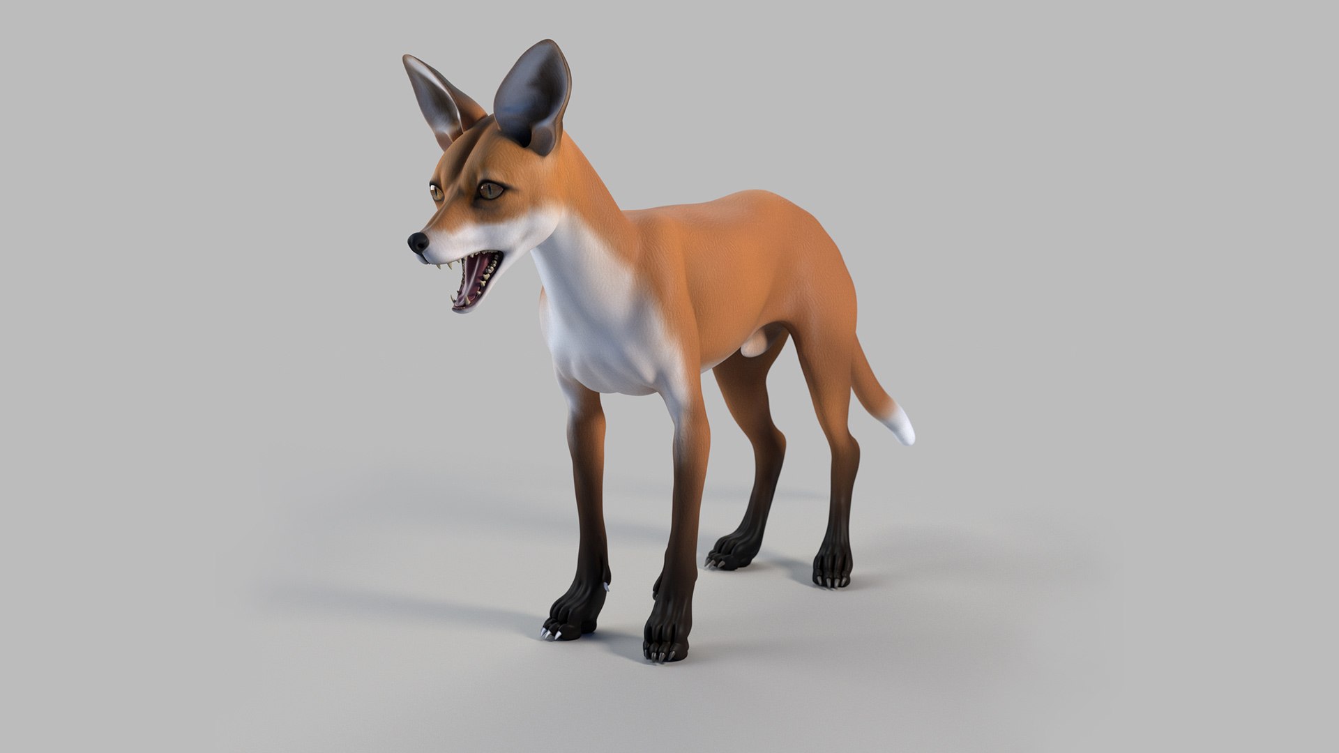 3D Model Fox Rigged - TurboSquid 1616241