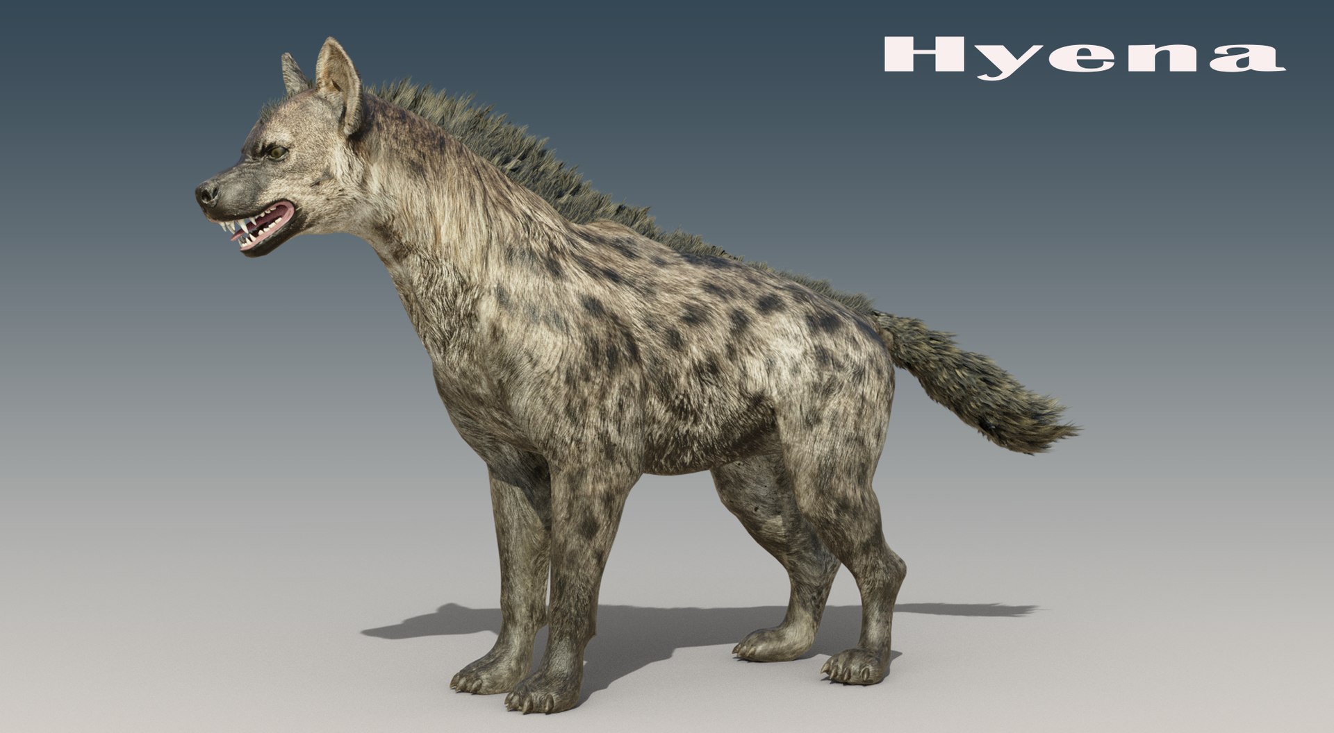 3D Model Hyena Rigged - TurboSquid 2016538