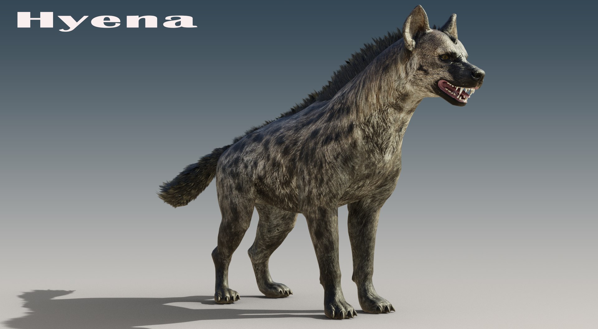 3D Model Hyena Rigged - TurboSquid 2016538
