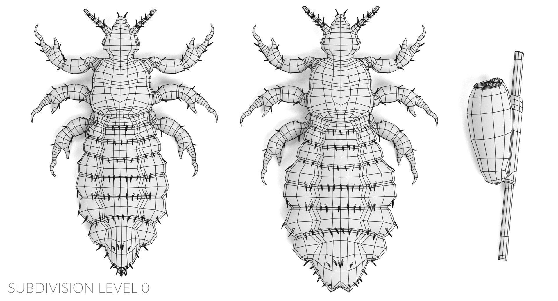 Head Lice Set 3D Model - TurboSquid 1423010