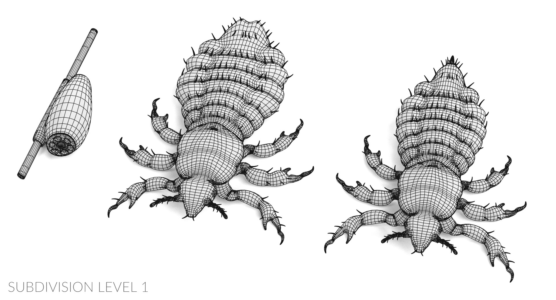 Head Lice Set 3D Model - TurboSquid 1423010