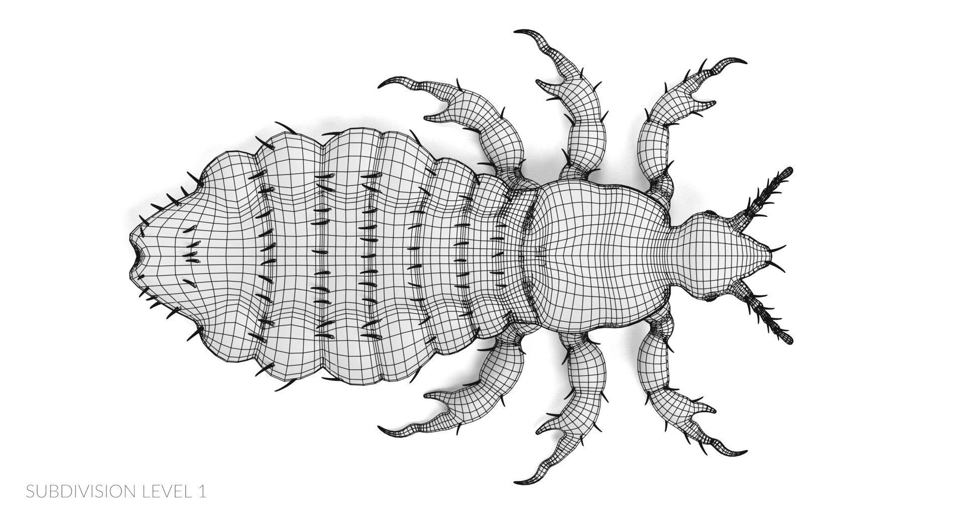 Head Lice Set 3D Model - TurboSquid 1423010