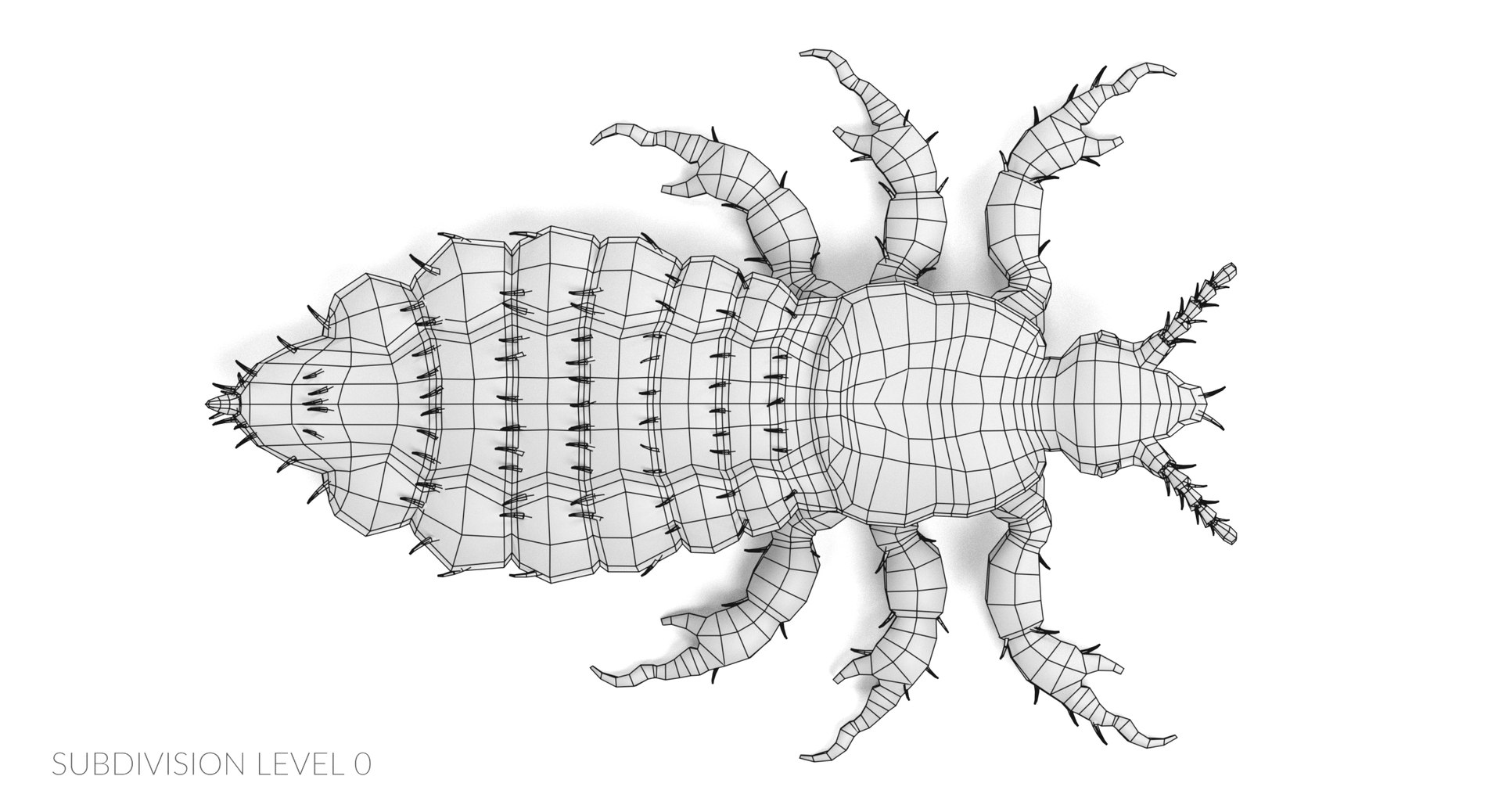 Head Lice Set 3D Model - TurboSquid 1423010