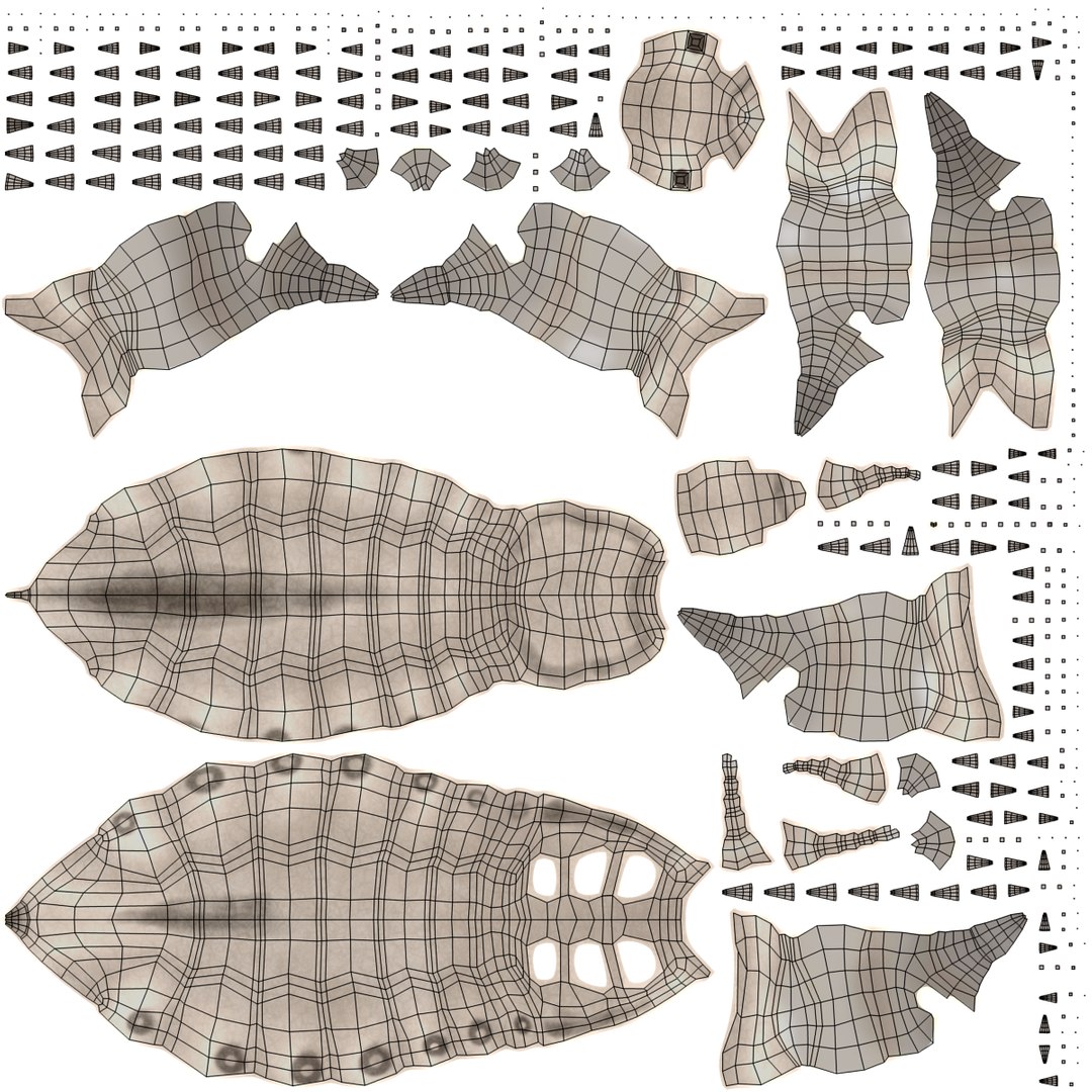 Head Lice Set 3D Model - TurboSquid 1423010