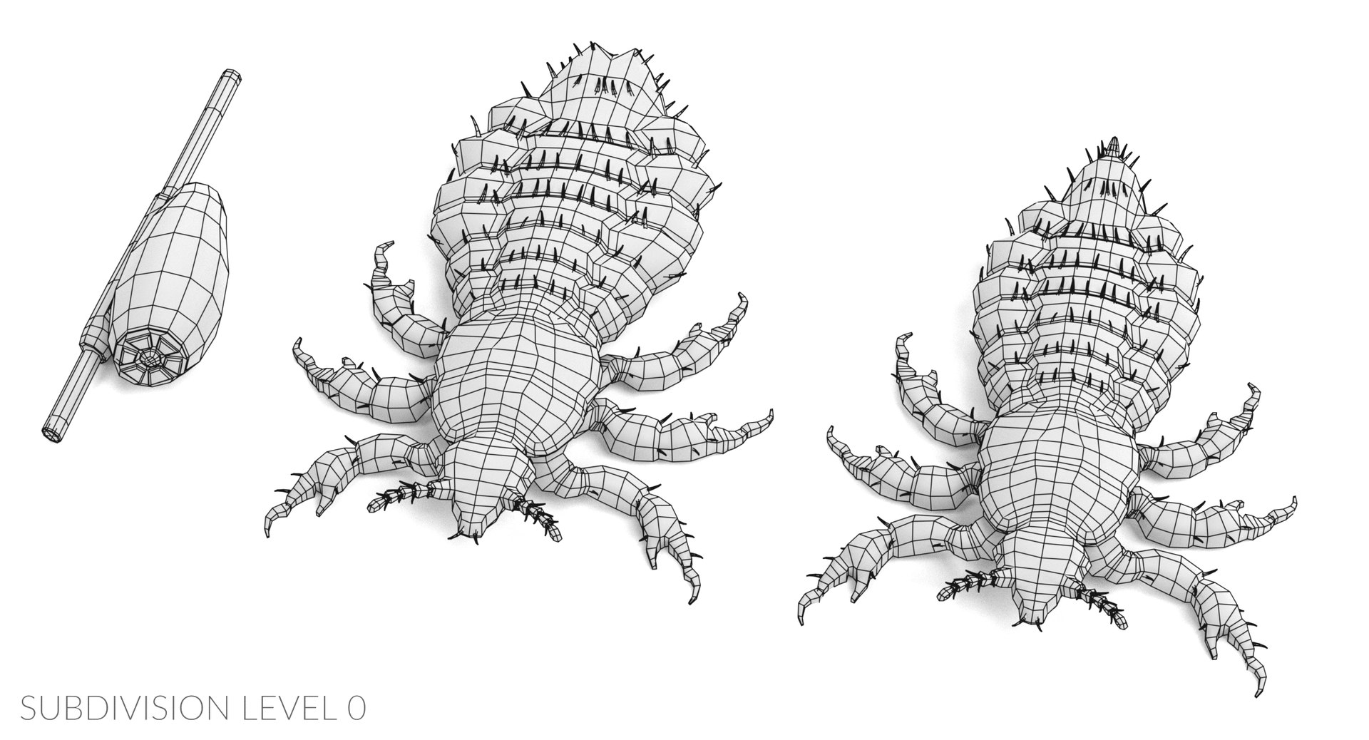 Head Lice Set 3D Model - TurboSquid 1423010