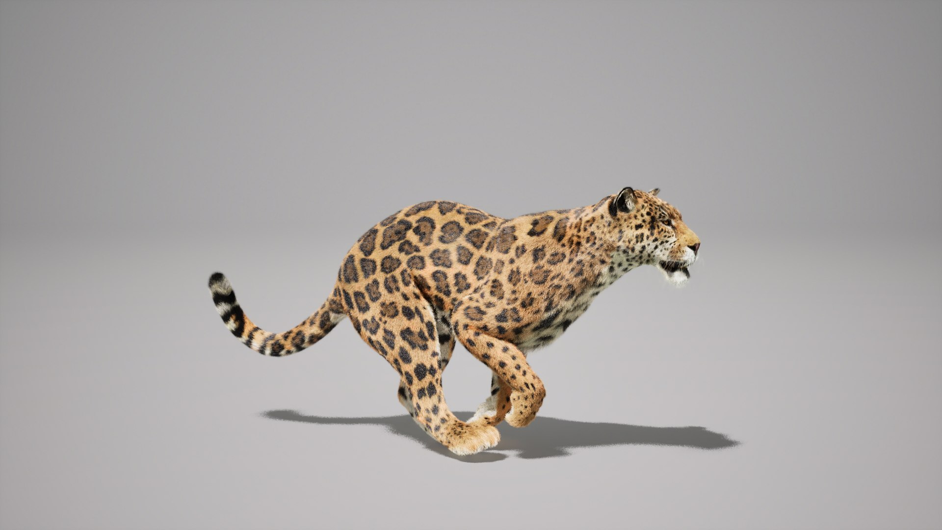 Jaguar Animated UNREAL Project 3D Model - TurboSquid 2292124