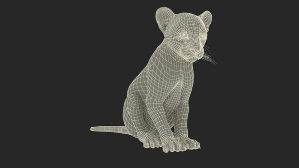 modelo 3d Cachorro de puma sentado con pelo - TurboSquid 2342506