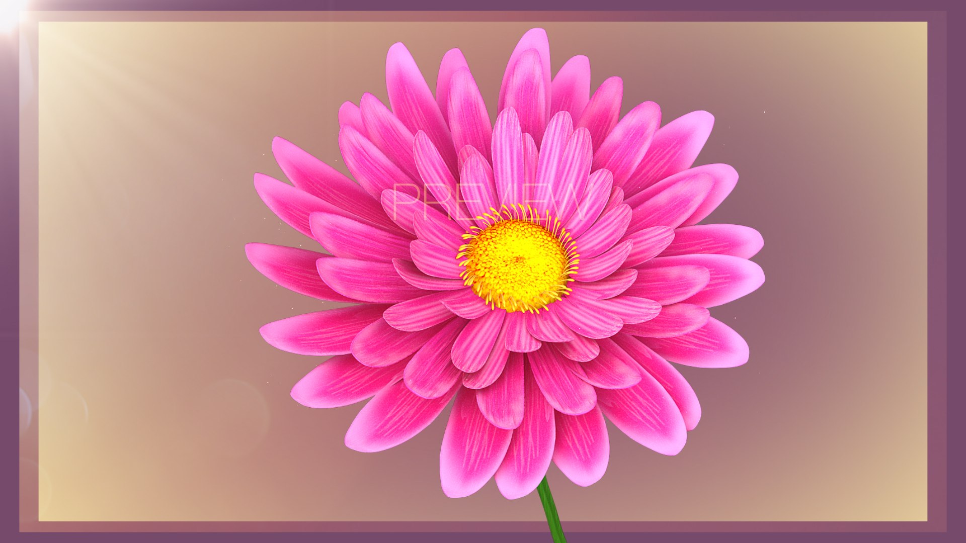 3D Daisy Flower Stylized Animated Model - TurboSquid 2235637