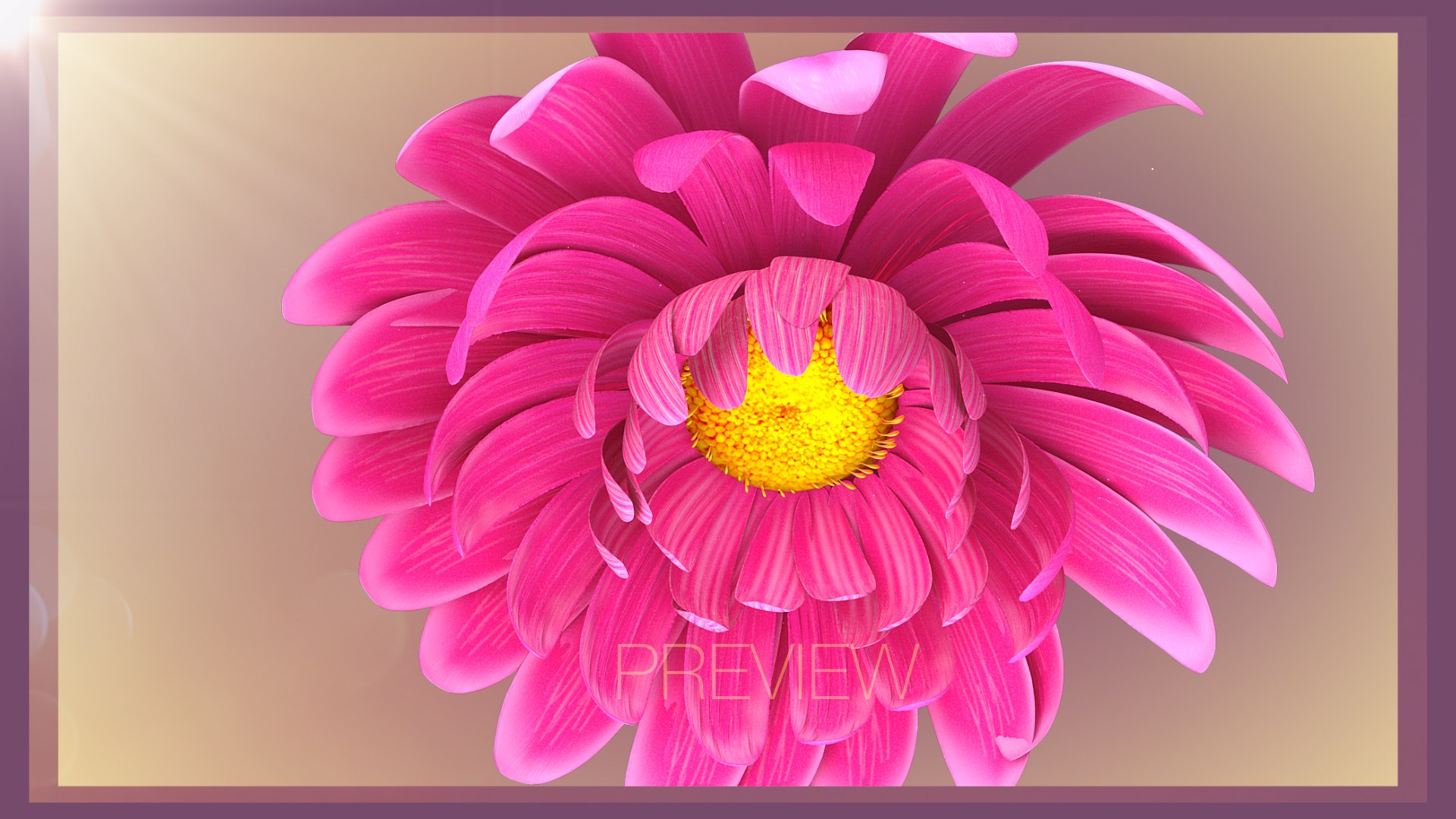 3D Daisy Flower Stylized Animated Model - TurboSquid 2235637