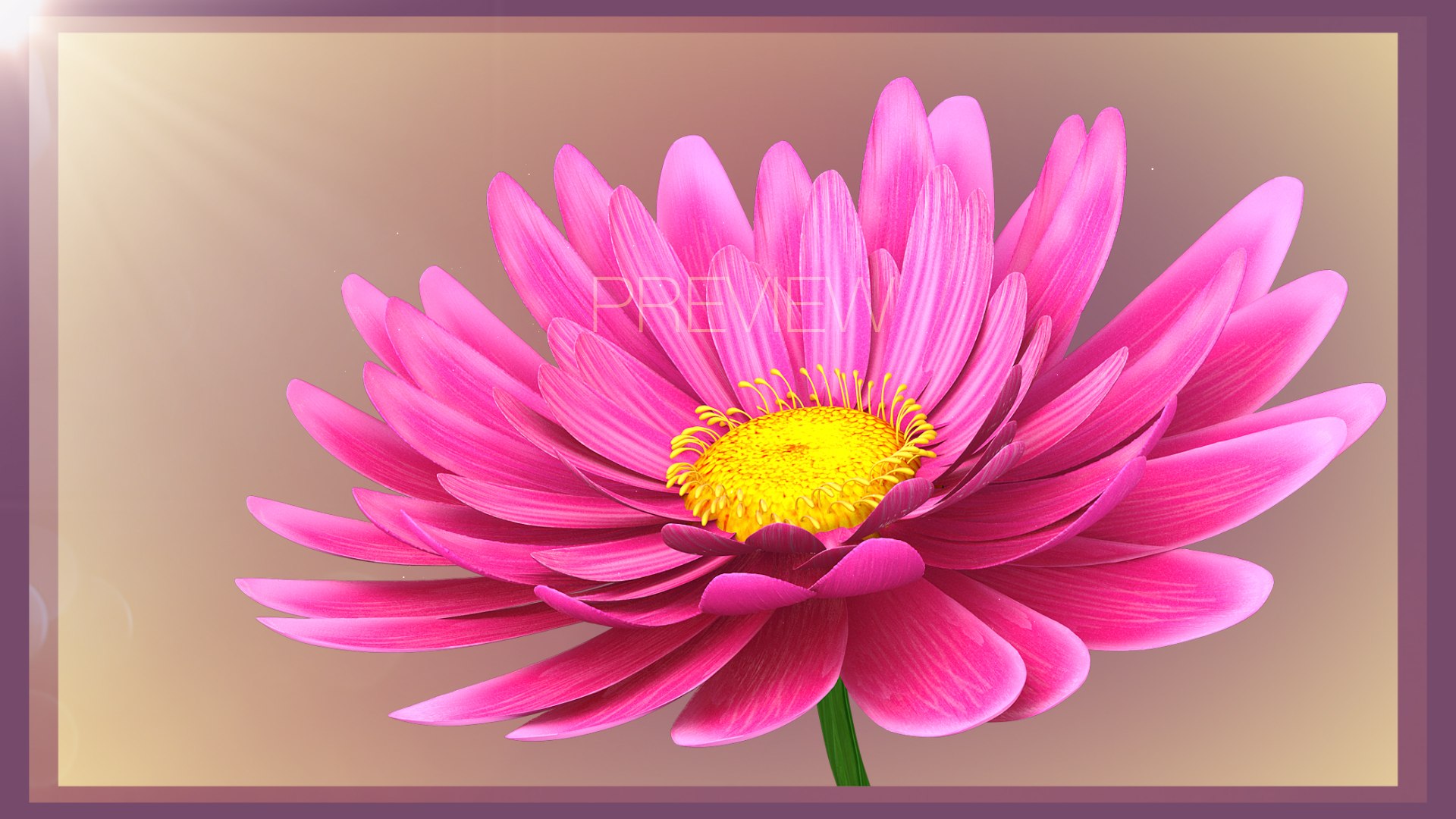 3D Daisy Flower Stylized Animated Model - TurboSquid 2235637