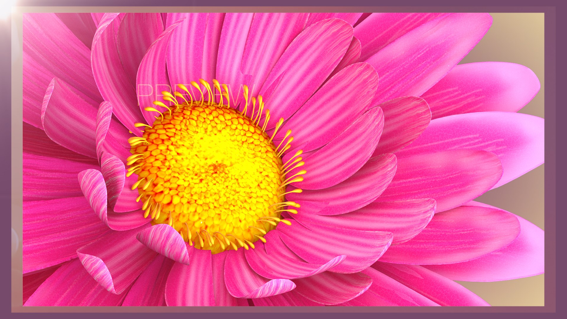 3D Daisy Flower Stylized Animated Model - TurboSquid 2235637