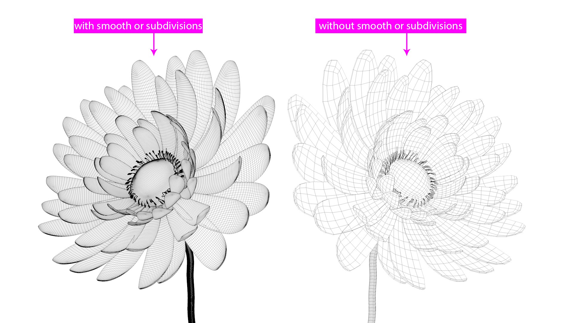 3D Daisy Flower Stylized Animated Model - TurboSquid 2235637