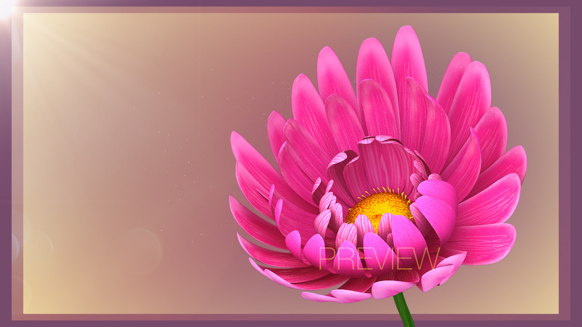 3D Daisy Flower Stylized Animated Model - TurboSquid 2235637