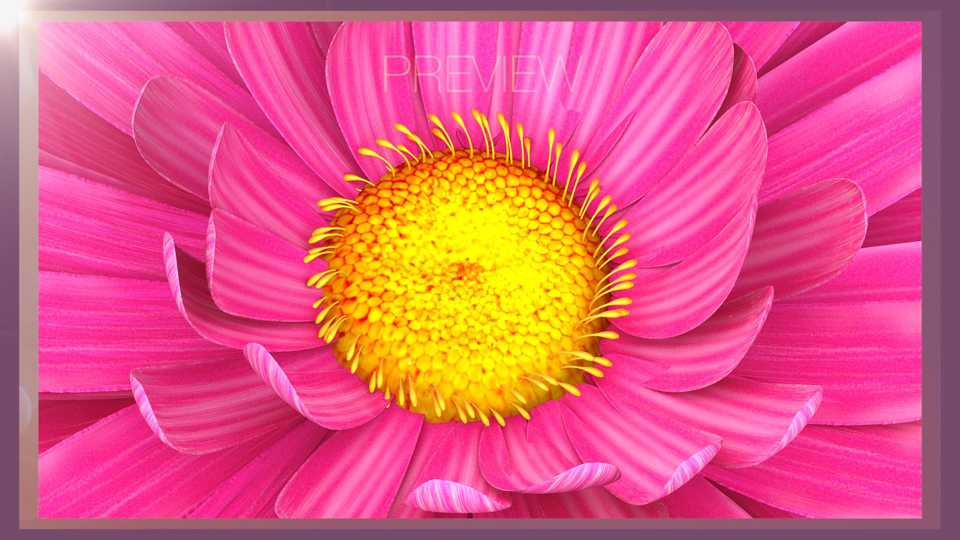 3D Daisy Flower Stylized Animated Model - TurboSquid 2235637