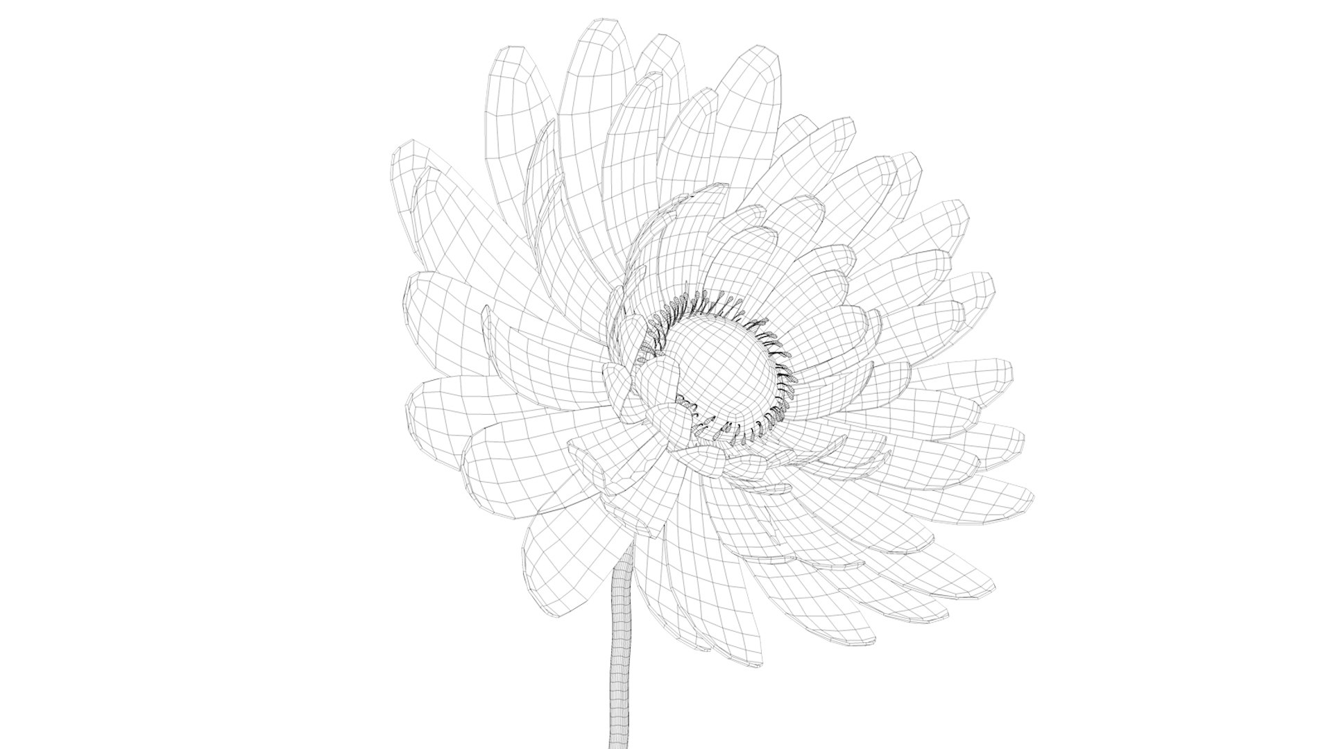 3D Daisy Flower Stylized Animated Model - TurboSquid 2235637