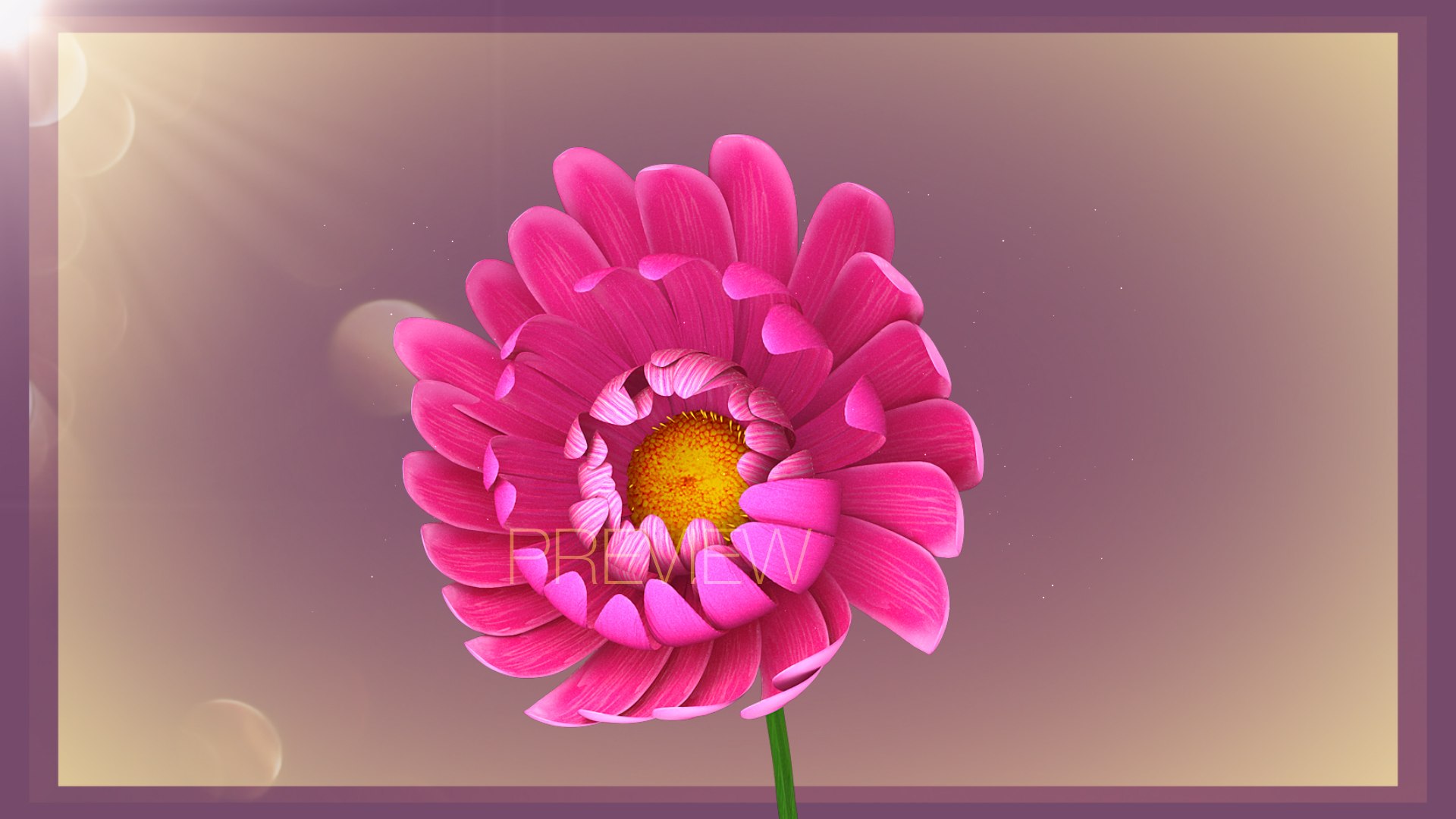 3D Daisy Flower Stylized Animated Model - TurboSquid 2235637