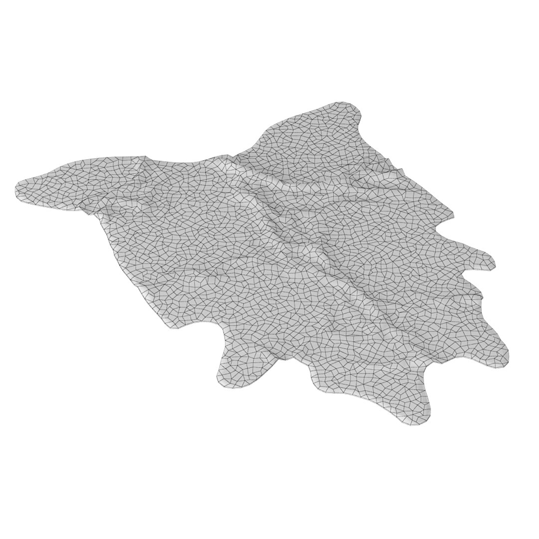 3D Animal Skin Rug 09 - TurboSquid 1779325