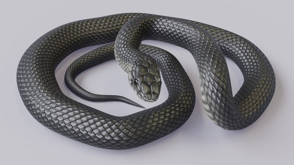 3D model black mamba animation - TurboSquid 1264247