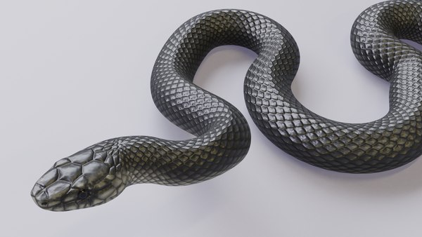 3D model black mamba animation - TurboSquid 1264247