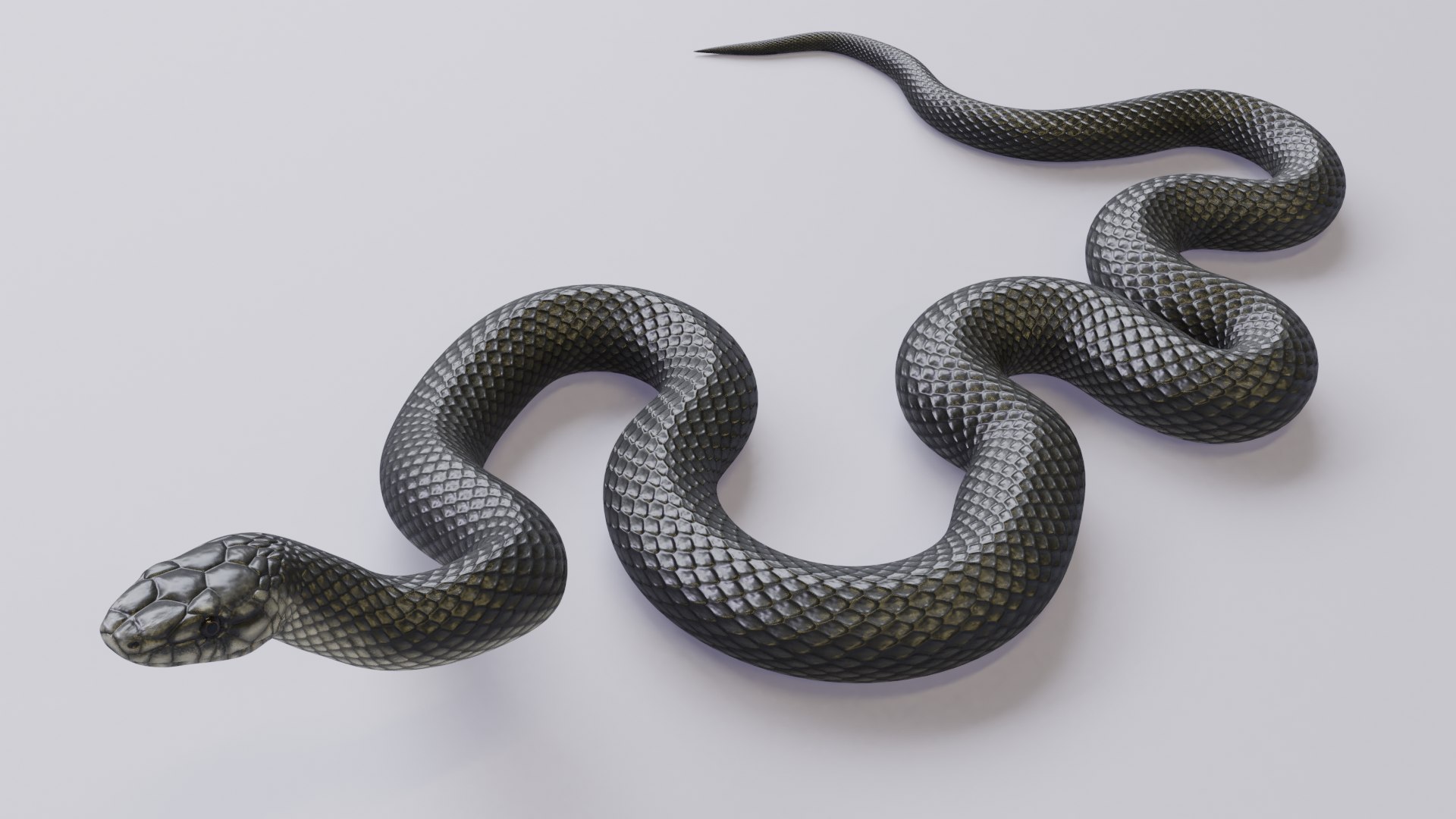 3D Model Black Mamba Animation - TurboSquid 1264247