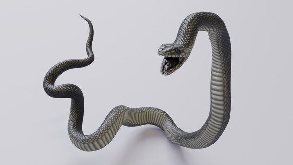 3D model black mamba animation - TurboSquid 1264247