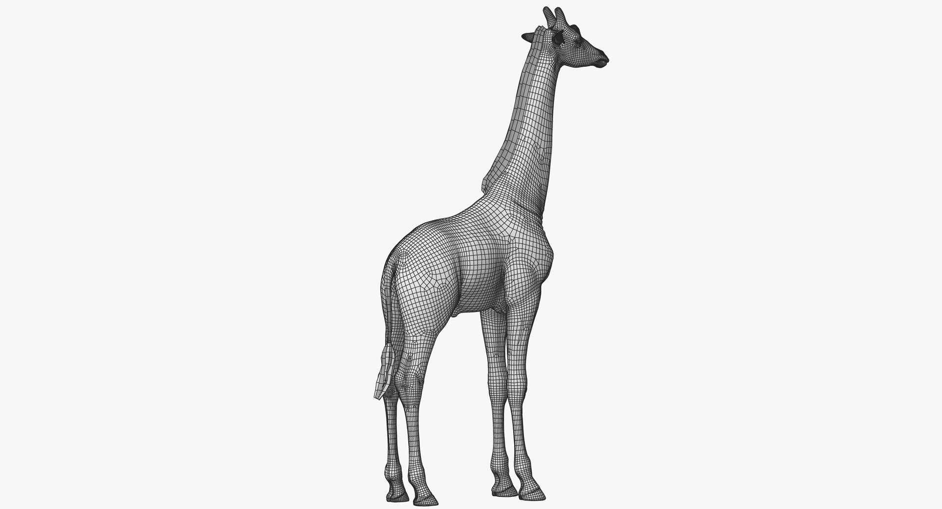 3D realistic giraffe rigged model - TurboSquid 1398245