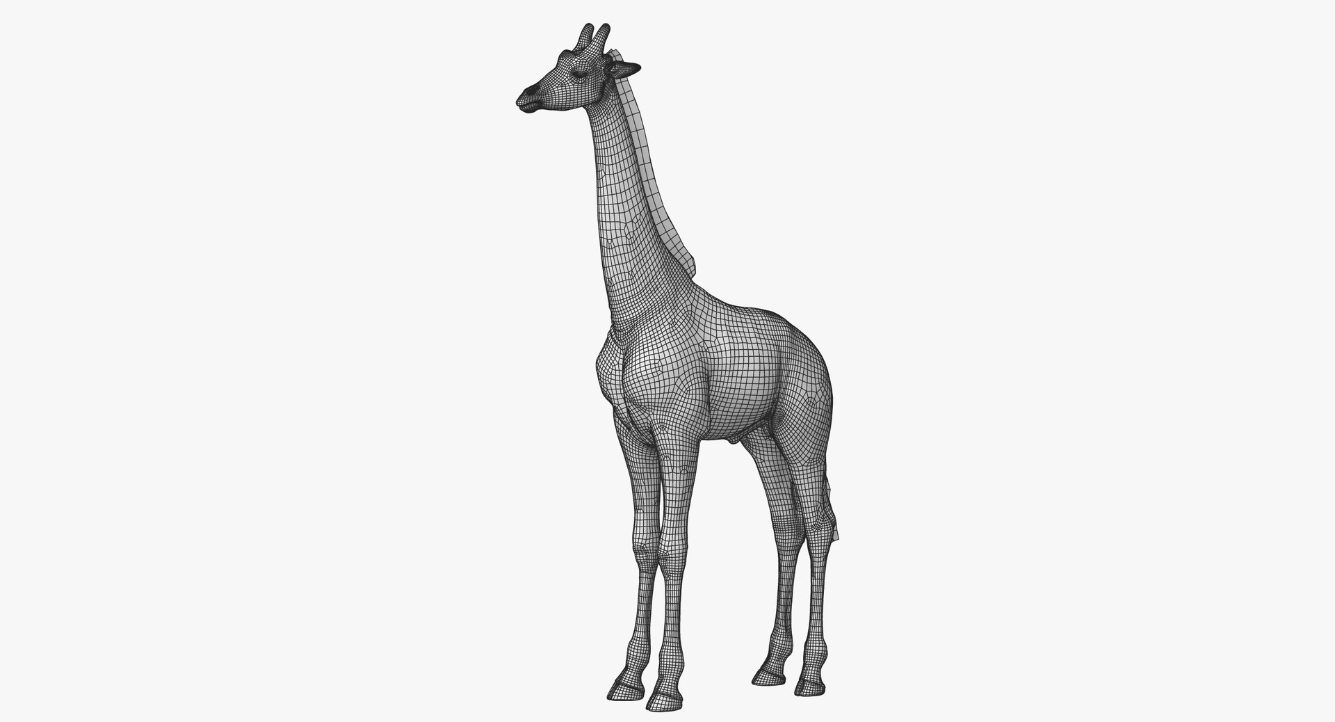 3D realistic giraffe rigged model - TurboSquid 1398245