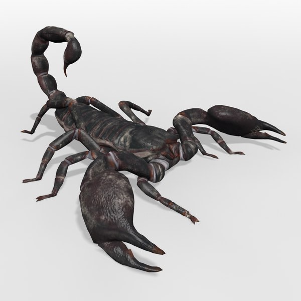 Scorpion 3D Models for Download | TurboSquid