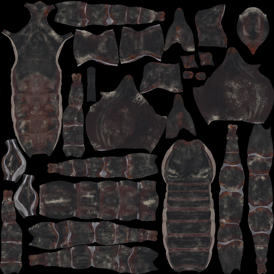 3D Insect Invertebrate Arachnid - TurboSquid 1692909