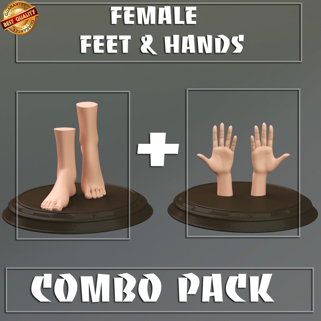 3d Obj Body Female Anatomy Human