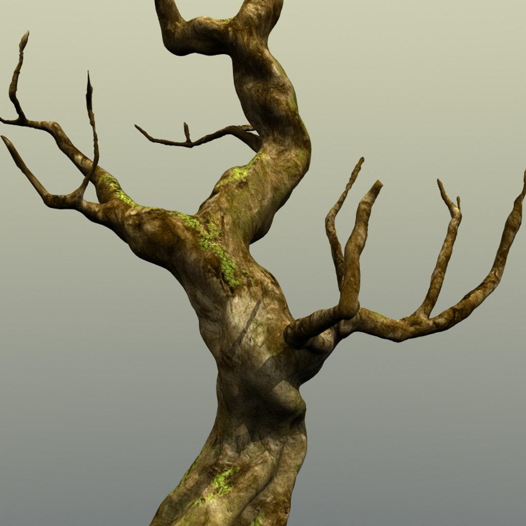 Crooked Mossy Tree 3d Model