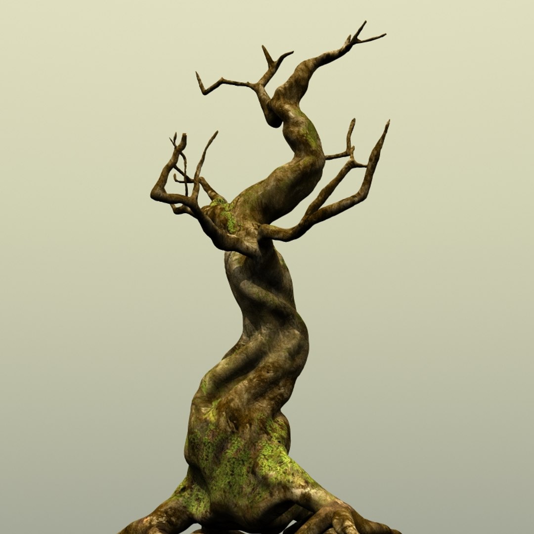 Crooked Mossy Tree 3d Model