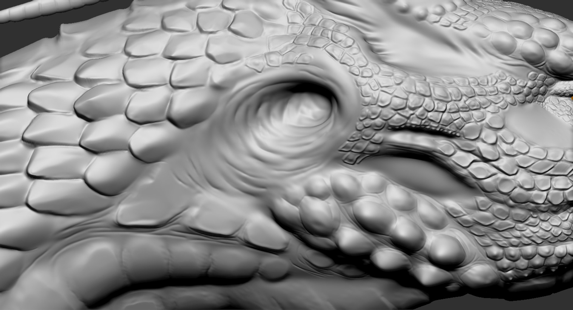 3D Dragon Head Concept 2019 - TurboSquid 1475963