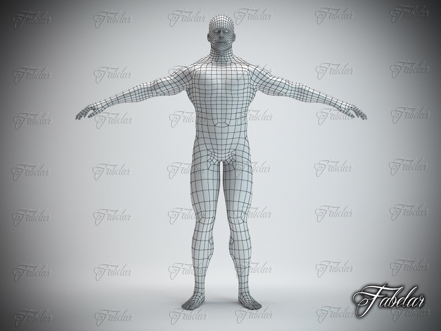 3d Male Human Body Model