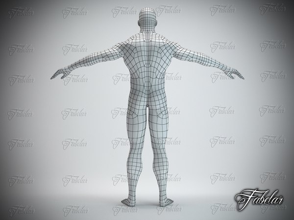 3d male human body model