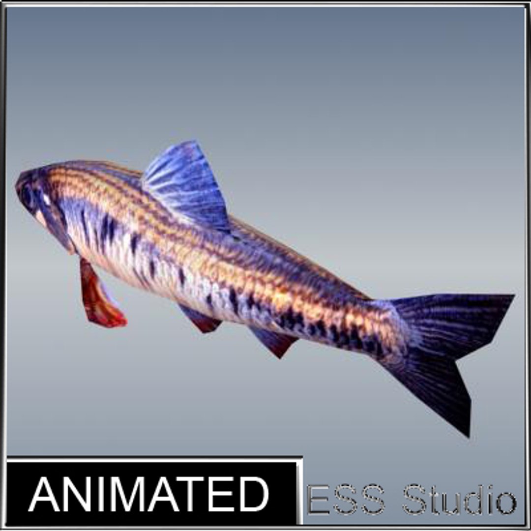 3d River Fish