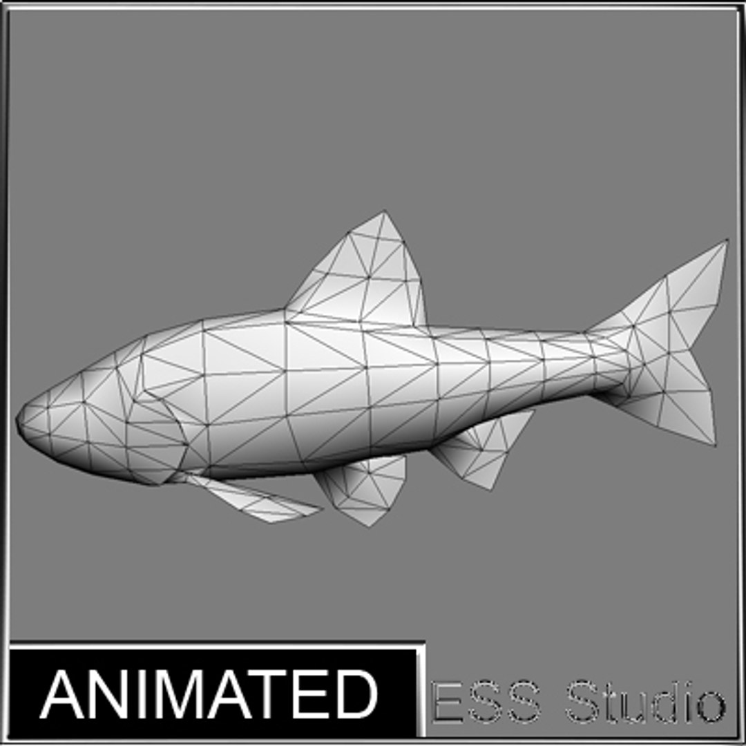 3d River Fish