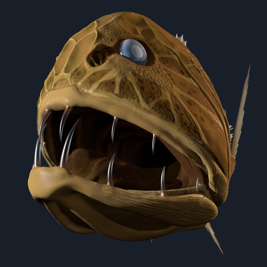3d Fangtooth Fish Model