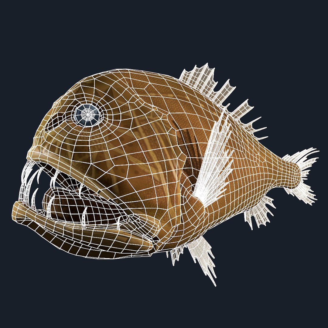 3d Fangtooth Fish Model