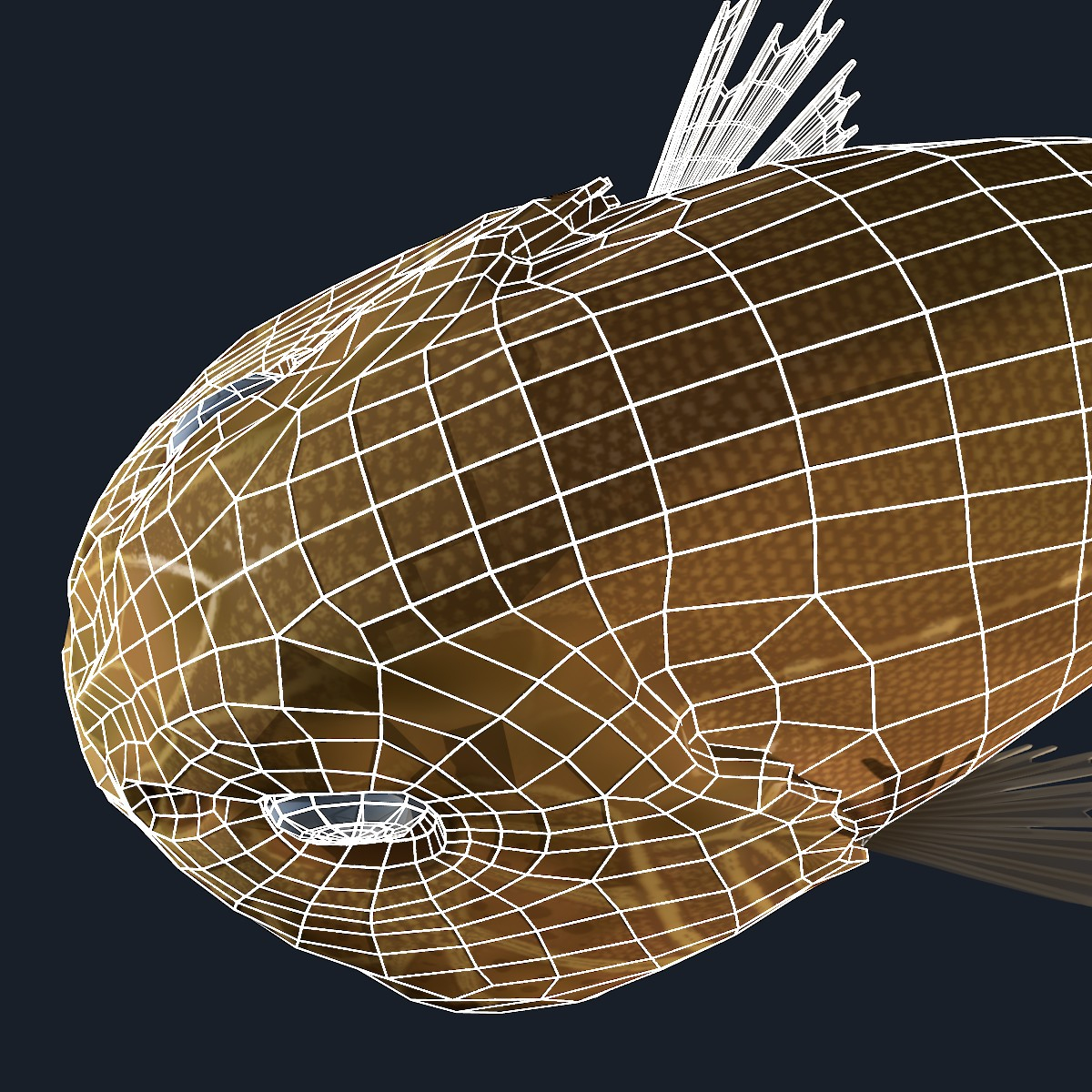 3d fangtooth fish model