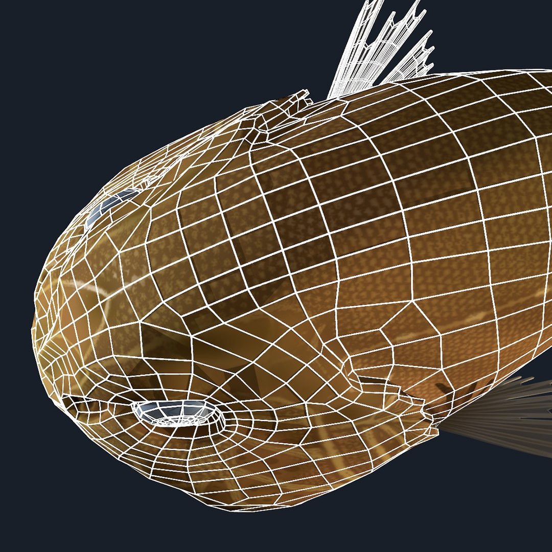 3d Fangtooth Fish Model